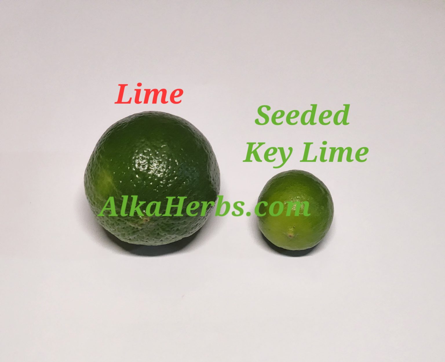 Seeded Key Limes for Sale | AlkaHerbs LLC