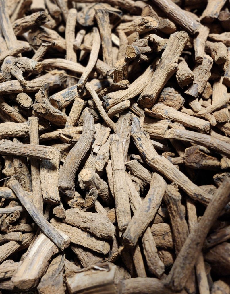 Contribo Herb | Contribo Herb for Sale | AlkaHerbs LLC