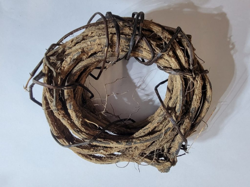 Contribo Herb | Contribo Herb for Sale | AlkaHerbs LLC