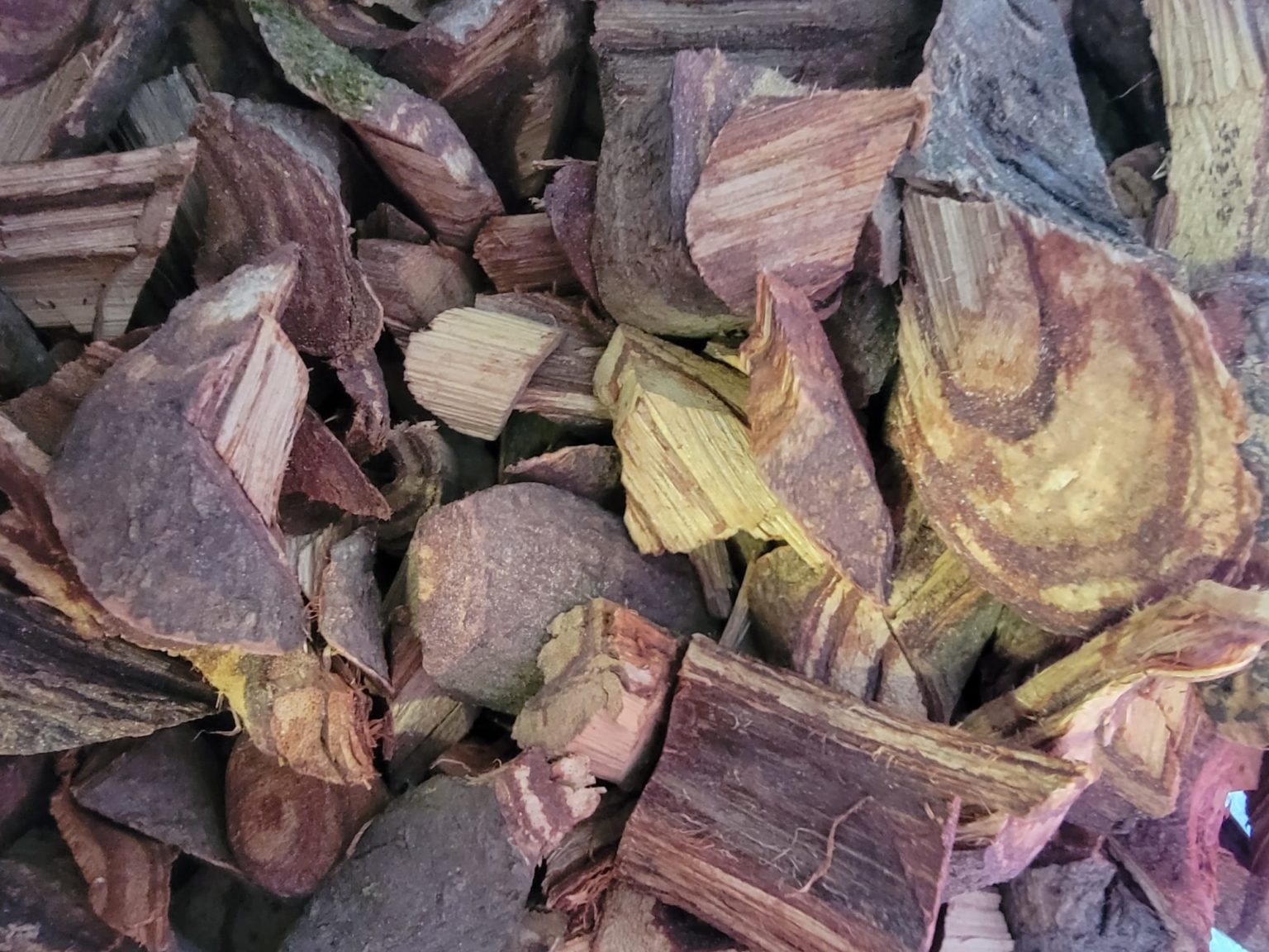 Capadulla Bark (Doliocarpus dentatus) 1/4 lb. - AlkaHerbs