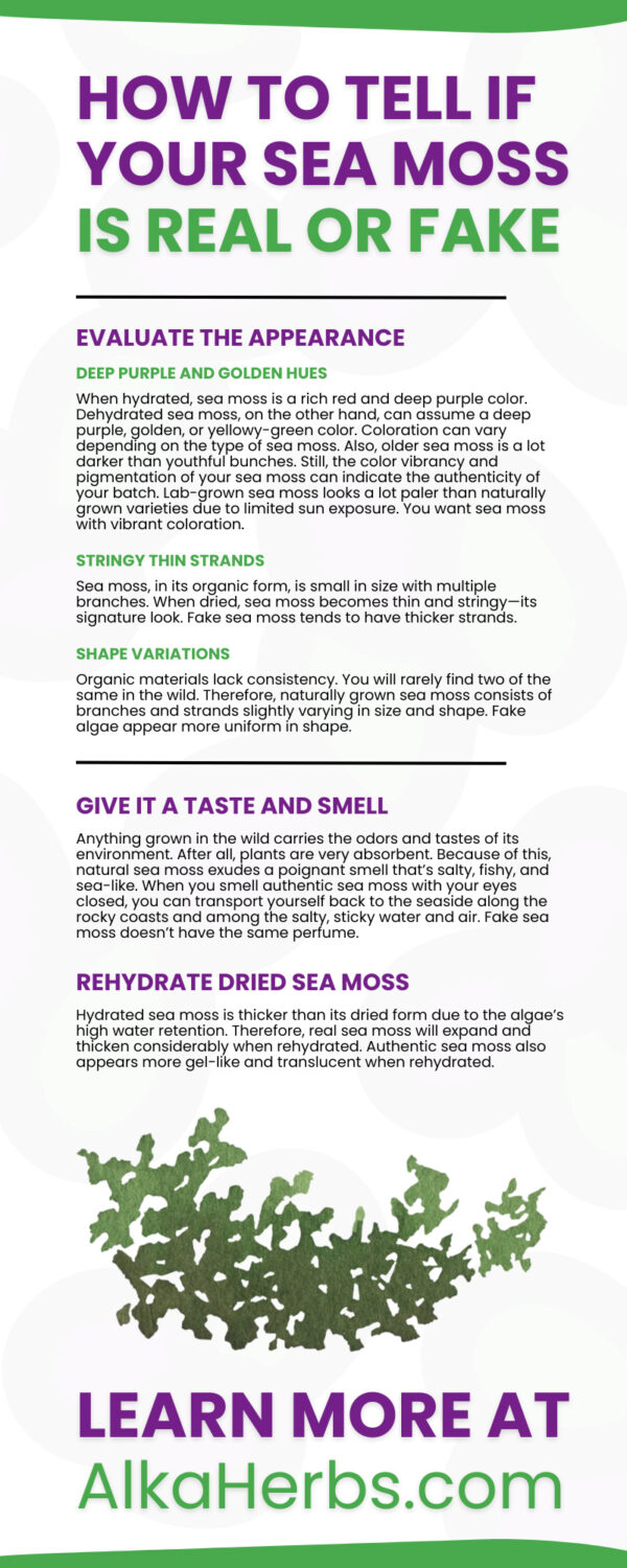 How To Tell if Your Sea Moss Is Real or Fake